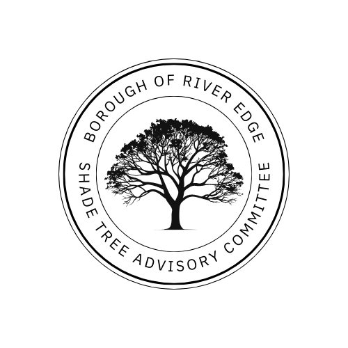 Borough of River Edge New Jersey Bergen County - Shade Tree Advisory ...