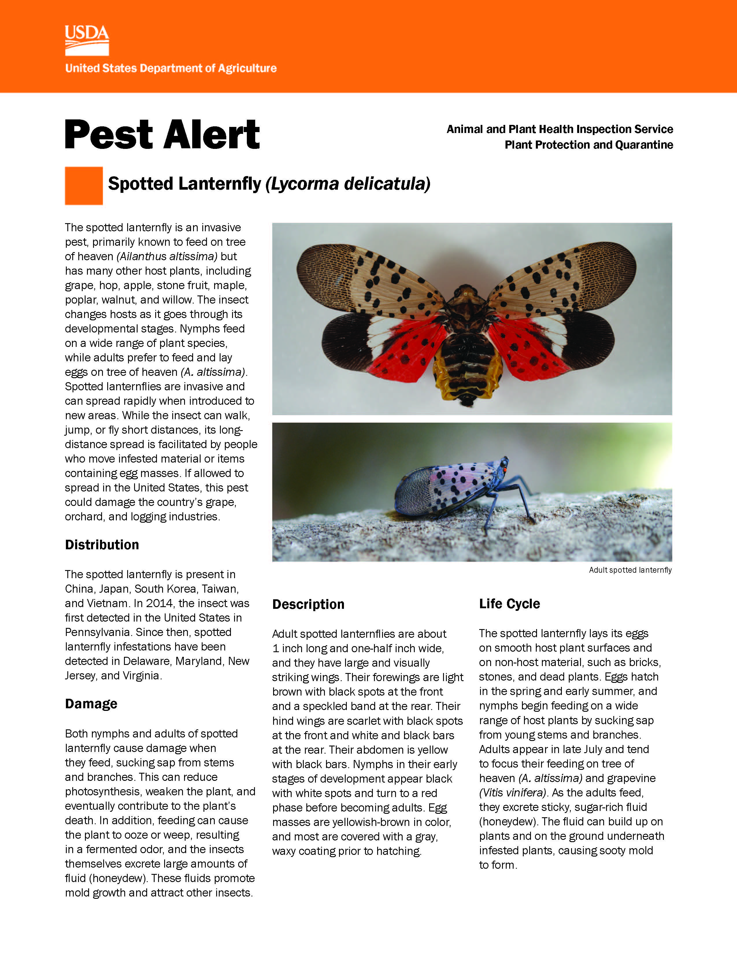 Borough of River Edge New Jersey Bergen County - Shade Tree Advisory ...